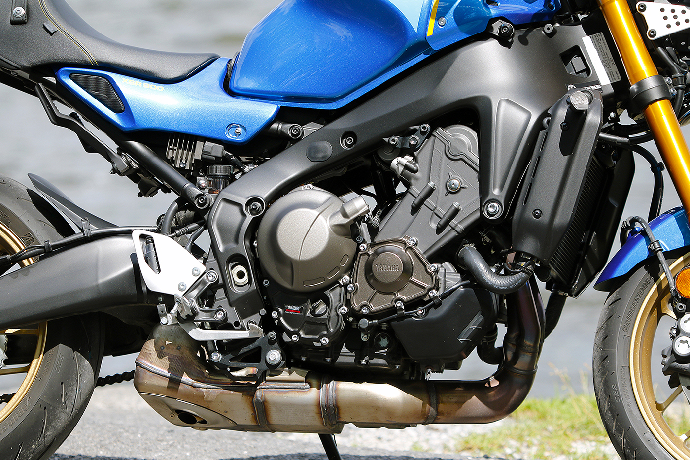 Yamaha XSR900 - MotoPlus.ca