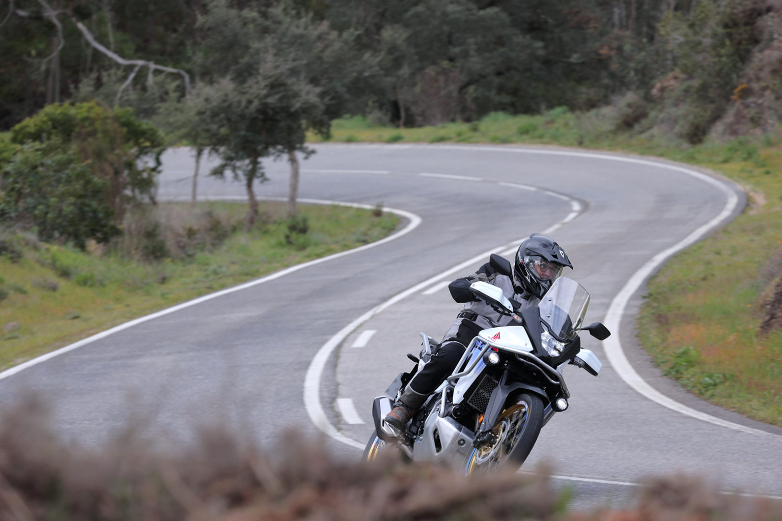 Honda Transalp XL750 2024 - MotoPlus.ca